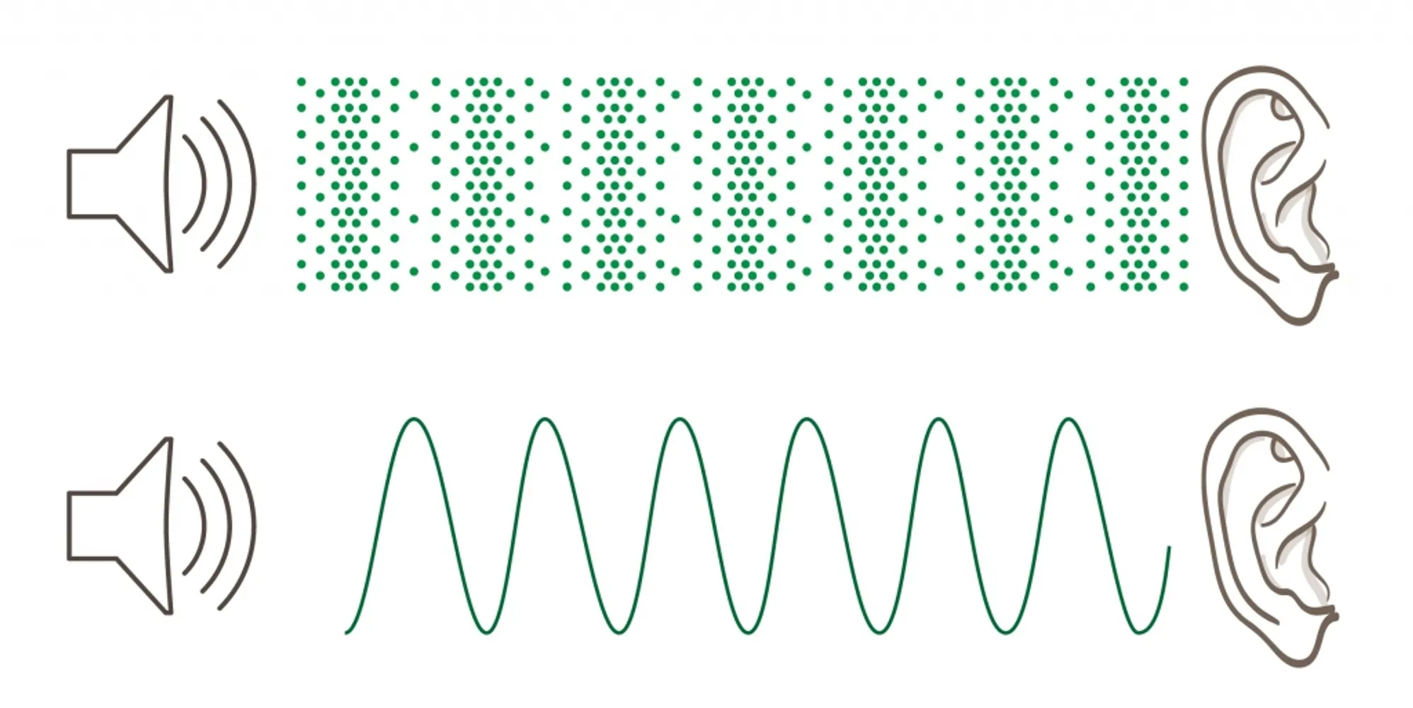 Nature of sound | Chromatone.center